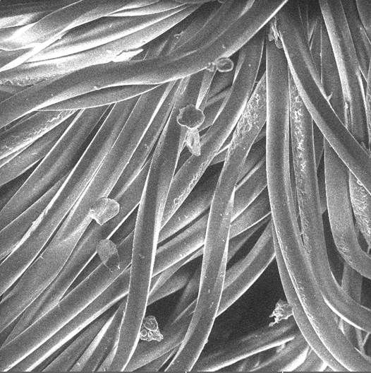 Up Close with Knit Fabrics, Part I