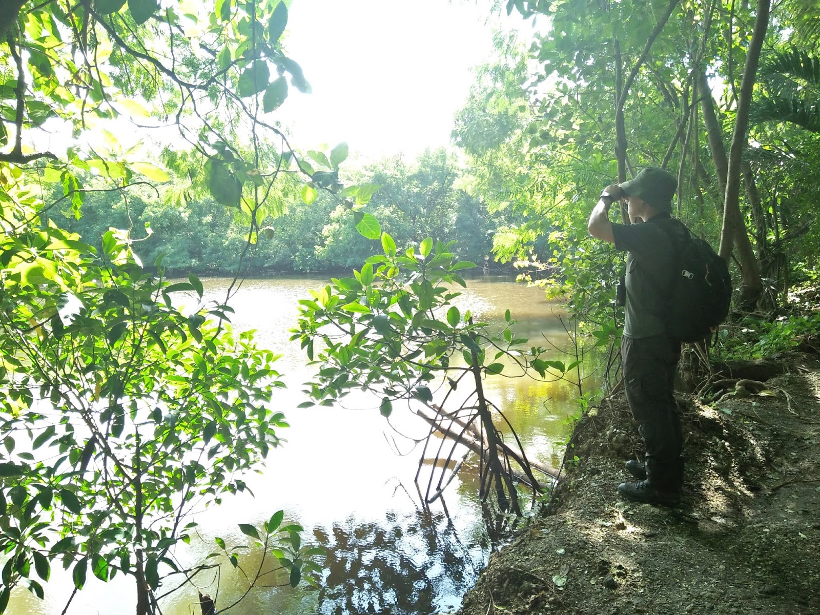 Ser Montaineer: Guided Bird Watching with Wild Bird Club of the ...