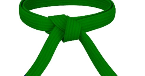 CONHECIMENTOS TÉCNICOS DO KARATE KYOKUSHIN..::..: SIGNIFICADO DA FAIXA ...