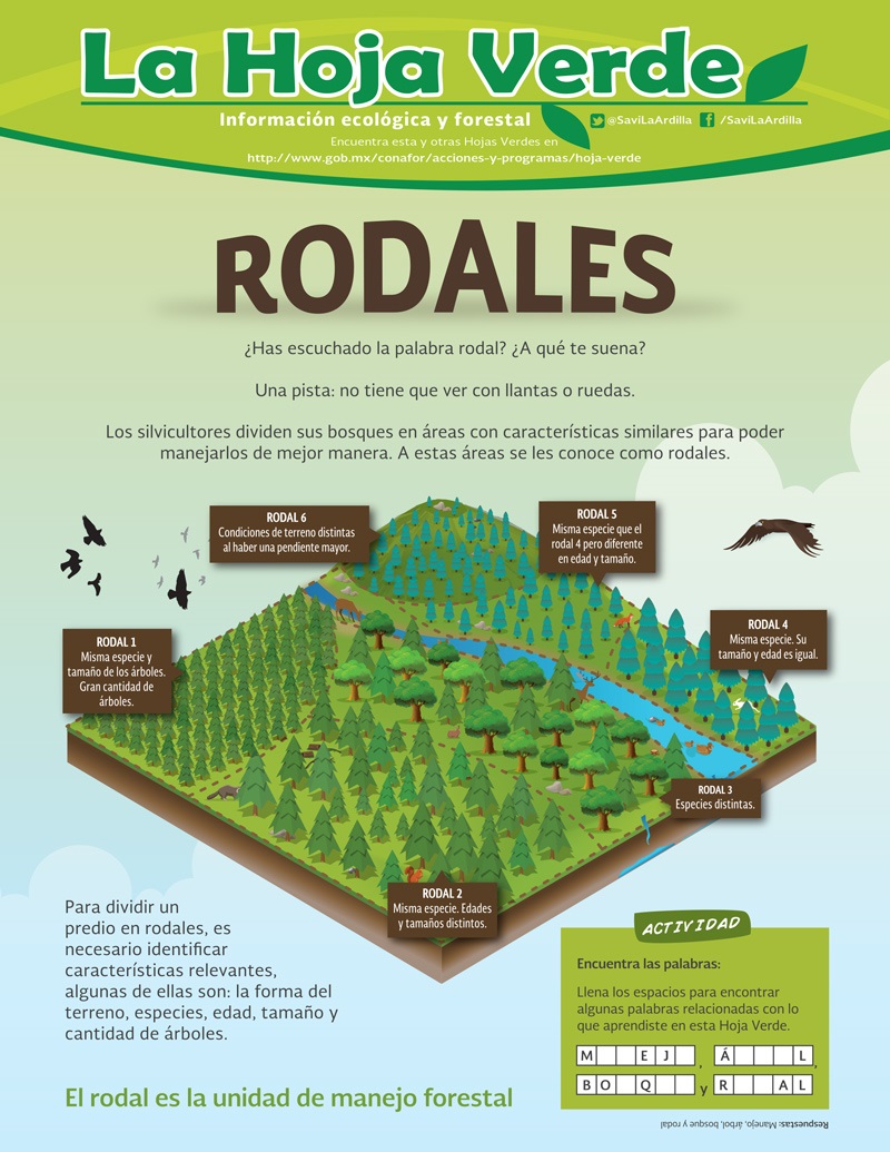 Periodismo y Fotografía Ambiental, Turismo y otros: Hoja Verde de ...