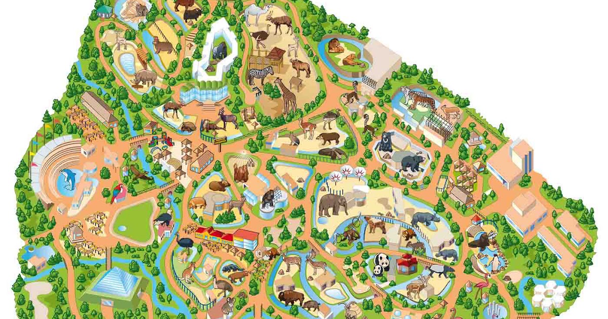 Trabajar en el zoo: Organización de los caminos del zoologico