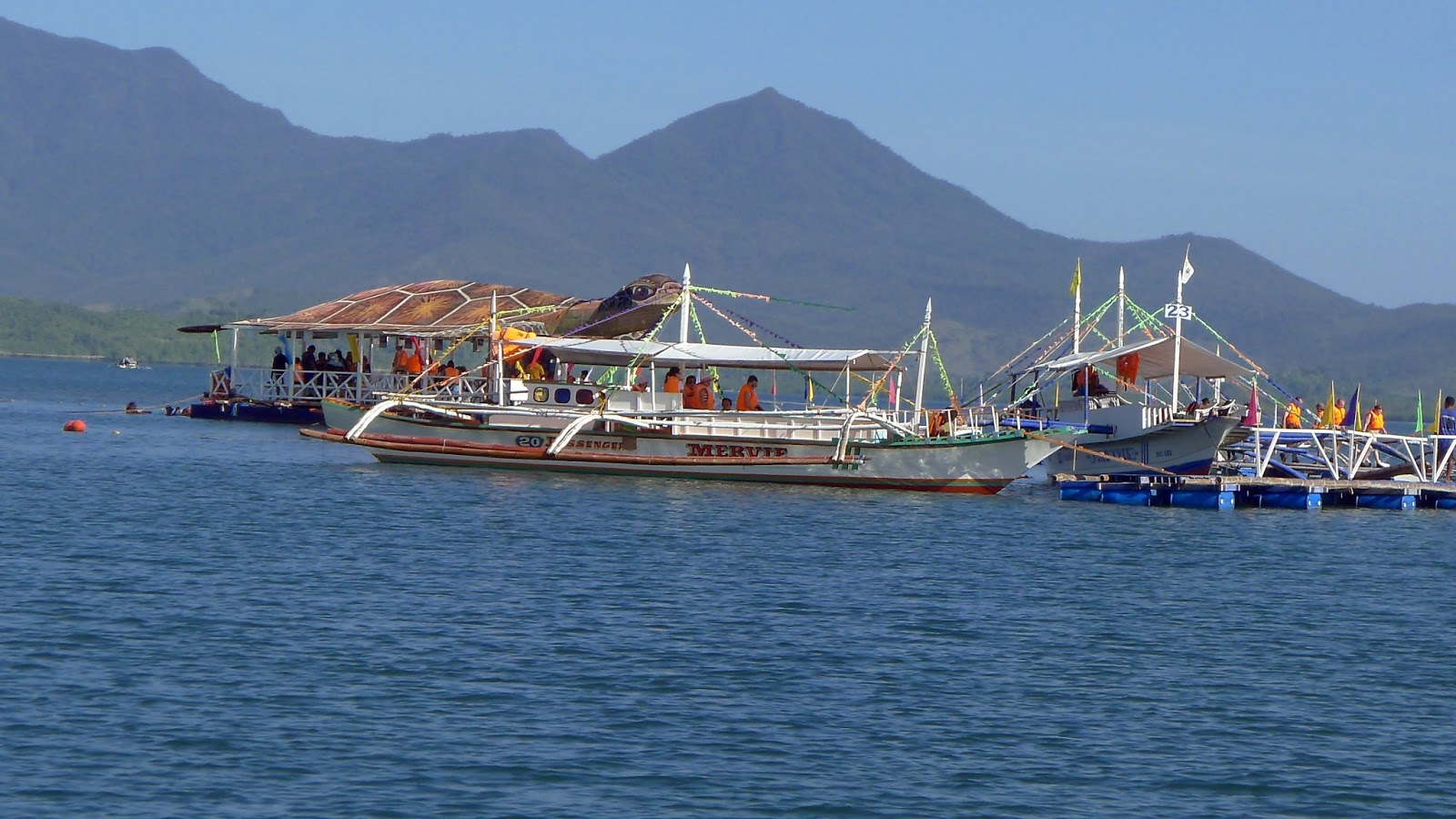 PAMBATO REEF | HONDA BAY ISLAND HOPPING TOUR - Palawan Tour Package