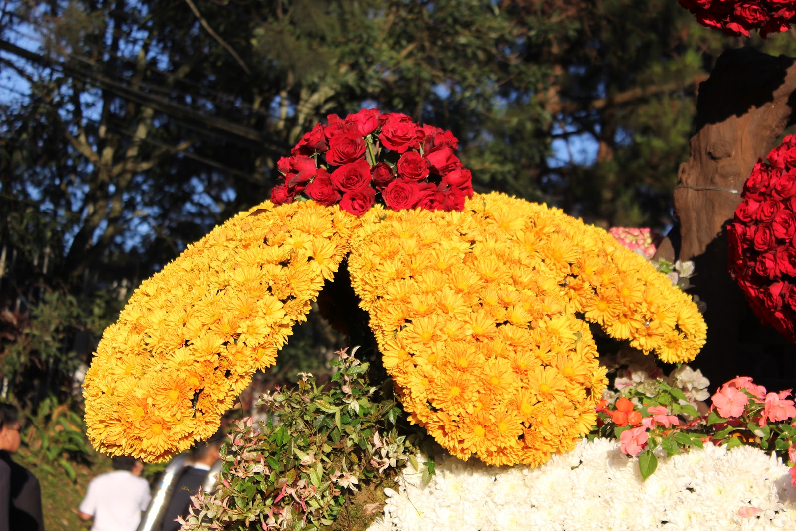 Are You Taking Your Family to the Panagbenga Festival in Baguio City?