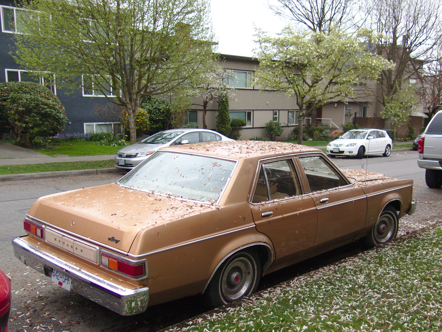 Old Parked Cars Vancouver: 1976 Mercury Monarch