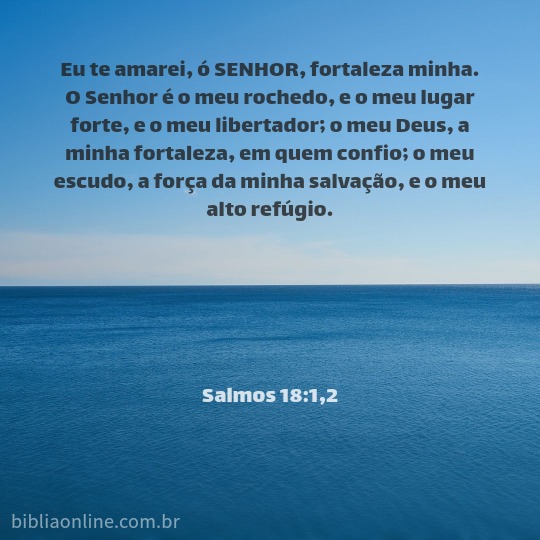 PALAVRA DE HOJE: Salmos 18:1,2