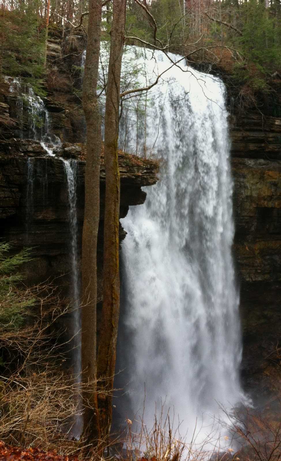 among nature: Bridgestone/Firestone Centennial Wilderness WMA & Virgin ...