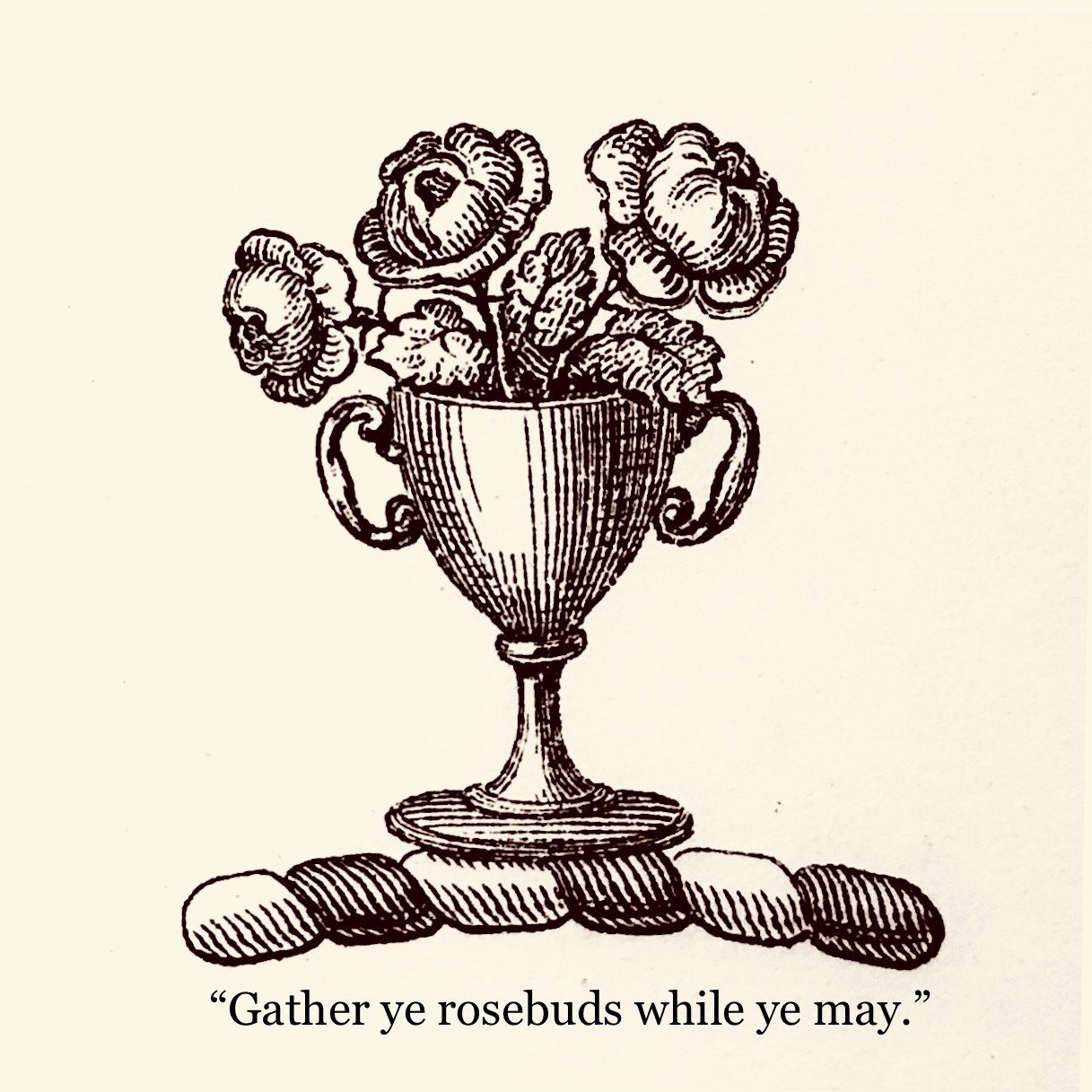 Gather Ye Rosebuds