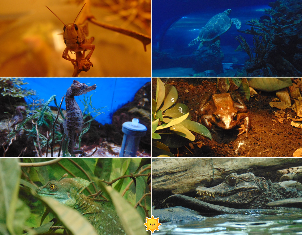 Welkom op Loekje 19: juni 2018