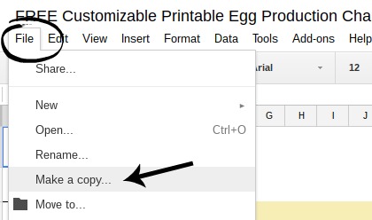 Annual Egg Production Chart | FREE Custom Printable - Fresh Eggs Daily®
