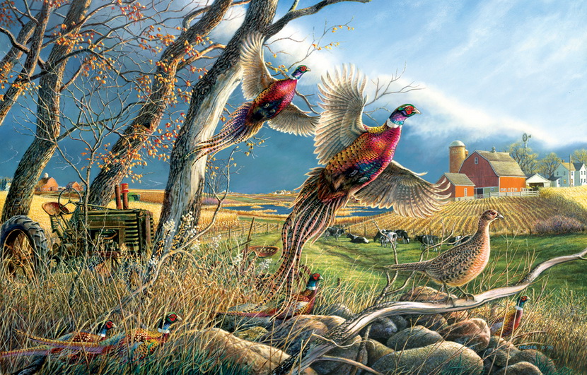 Коллекция картинок: James Meger