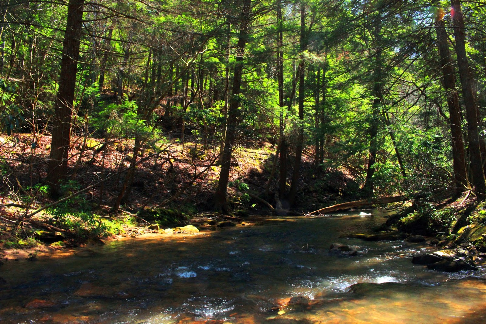 Cumberland Gal: Last Day of Camping at Davy Crockett Campground ...