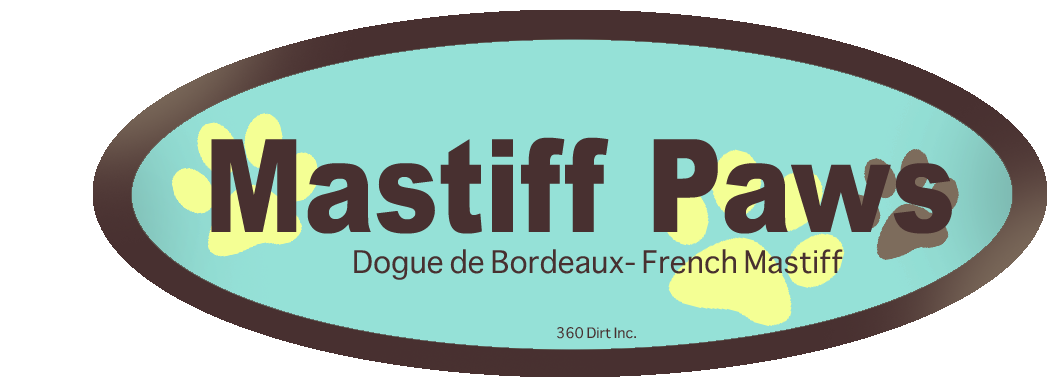 Mastiff Paws