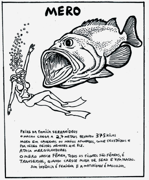 A Maturidade do MERO - Biologia Calazanista - Flávio Calazans