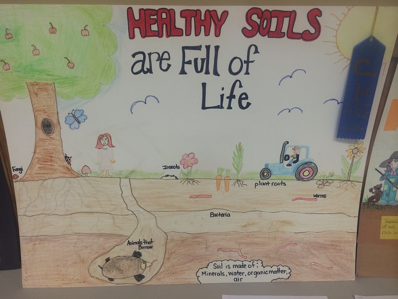 Lowcountry outdoors: 2017 Colleton Soil and Water Conservation District ...