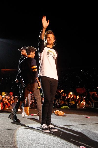 One Direction Girls ♥: Concierto en Santiago de Chile.-Where We Are ...