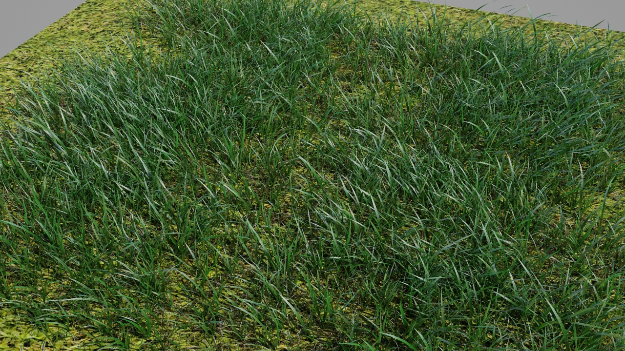 Robert Poole: Realistic Grass Test