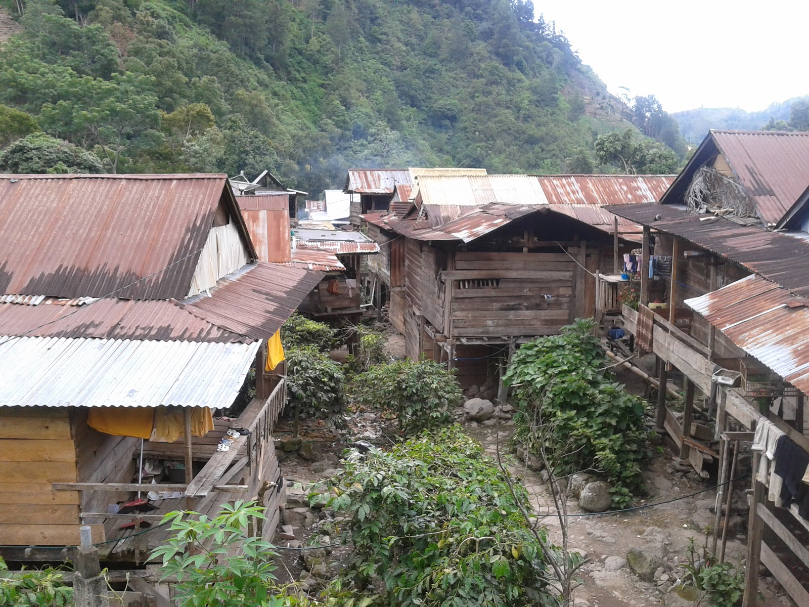 Bersepeda ke Desa Latimojong ~ Zulkarnain Arch