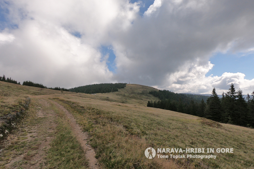 Narava hribi in gore: Ribniška koča-Črni vrh 1543m-Velika Kopa 1542m