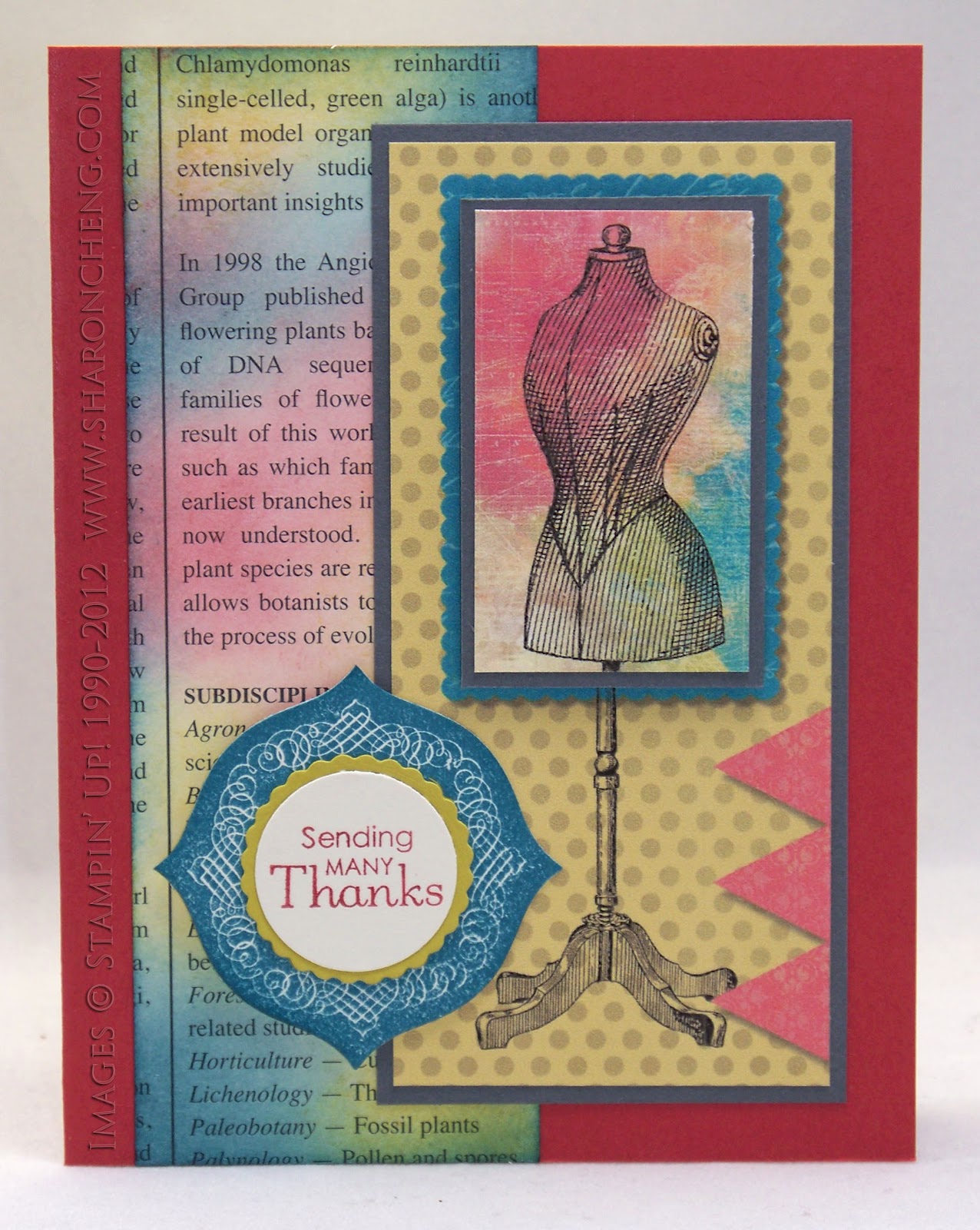 SHARING CREATIVITY and COMPANY: Established Elegance Hybrid Card