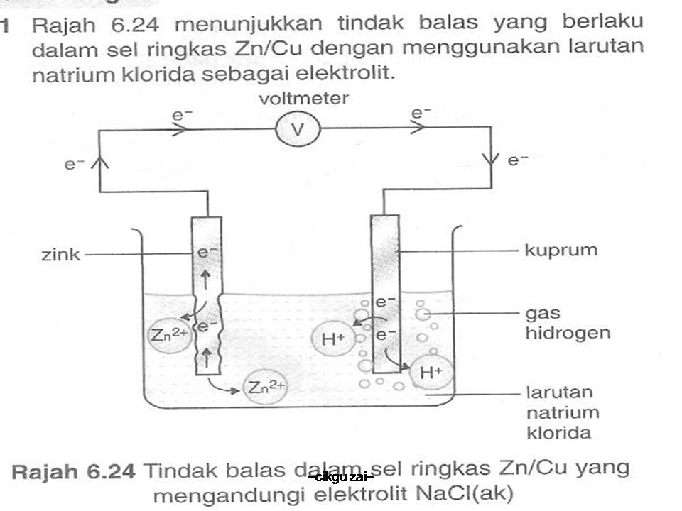 cikgu zai.kimia: SEL RINGKAS