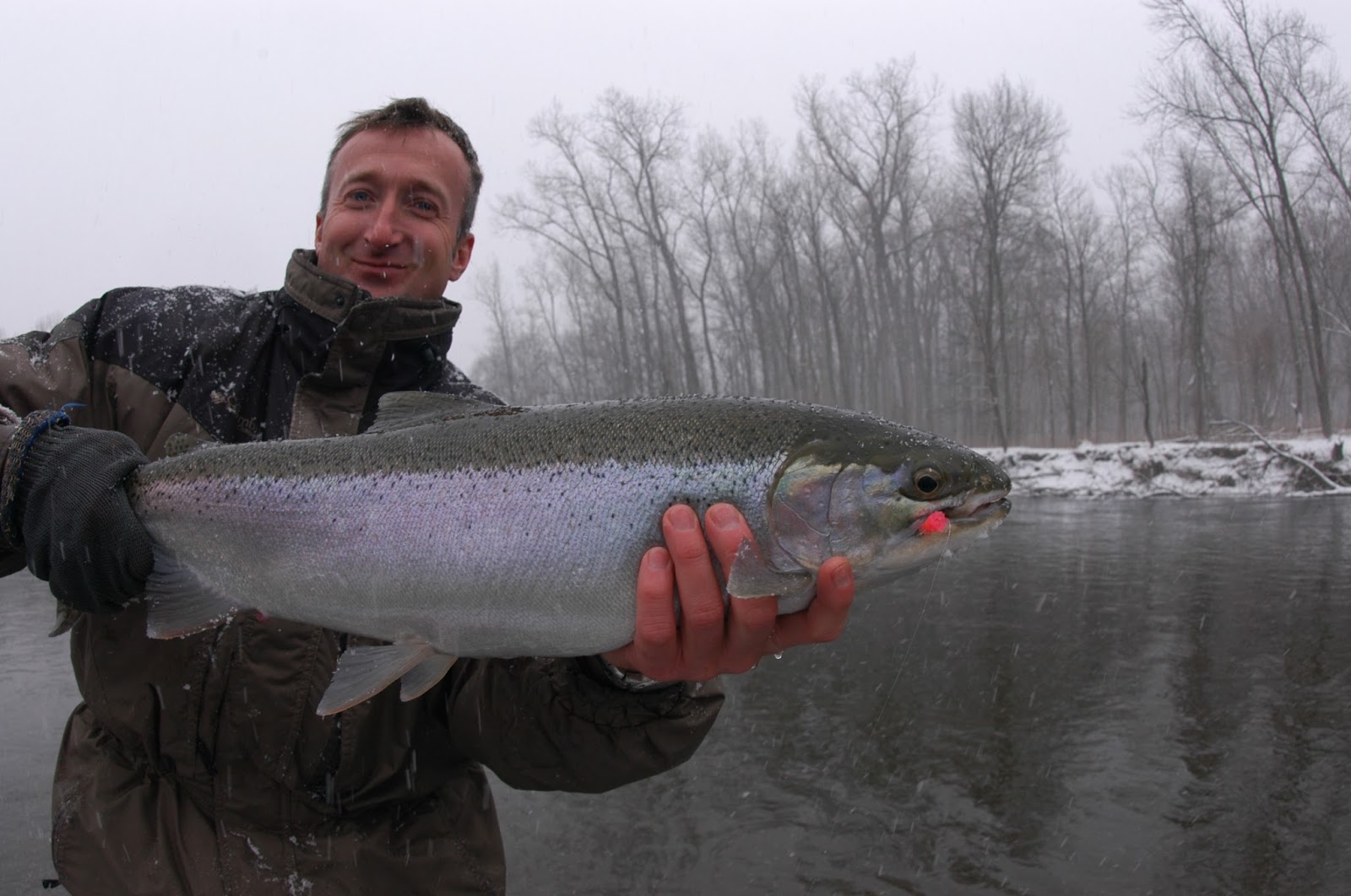 WINTER STEELHEAD AND TROUT SPECIAL-FISH PRIME TIME OF DAY! ~ Matt ...