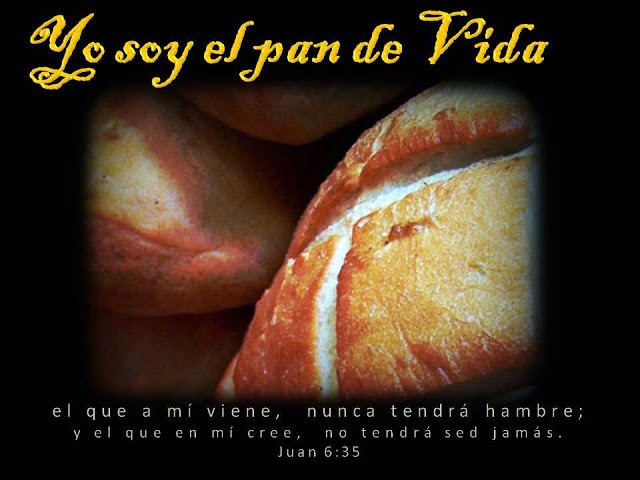 Vida de la Palabra: EL PAN DE VIDA