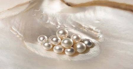 Jenis - Jenis Mutiara | cincin kawin