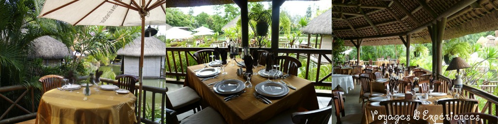 Voyages et Expériences : Maurice: Le Domaine Anna