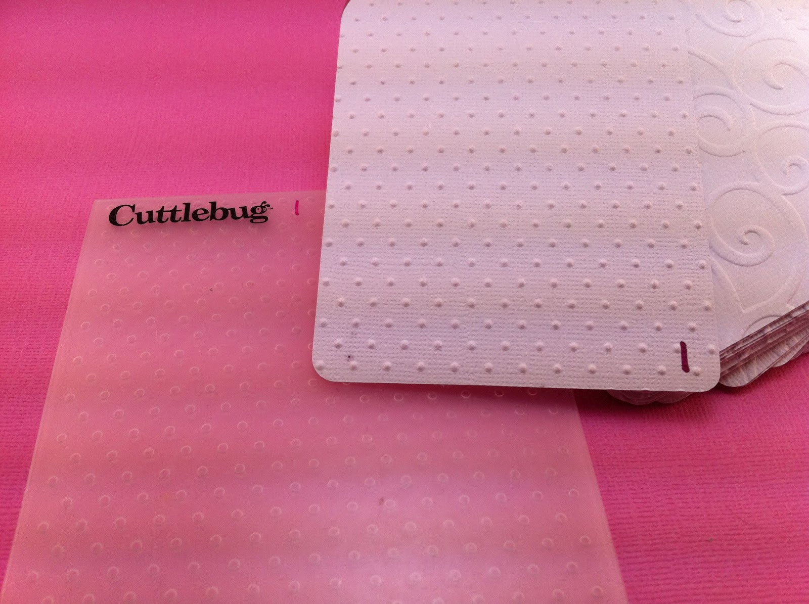 Obsessed with Scrapbooking: Cuttlebug Folder Storage and GIVEAWAY!
