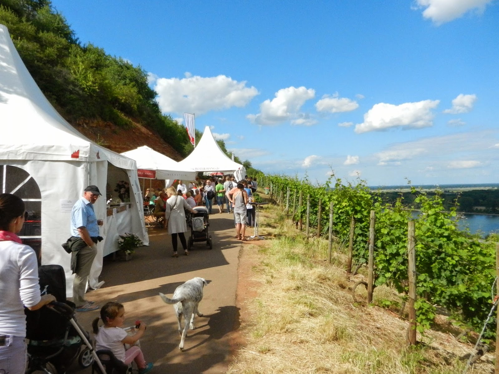 schiller-wine: Tasting the Wines of the Roter Hang (Red Slope ...