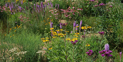 Biotope Design: The Prairie Nursery
