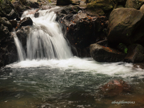 Andrea's Plants, Photos and Travels: Dampalit Falls
