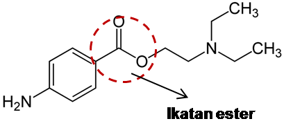 Pemberian Anastesi Umum dan Anastesi Lokal Dian Husada: Struktur kimia ...