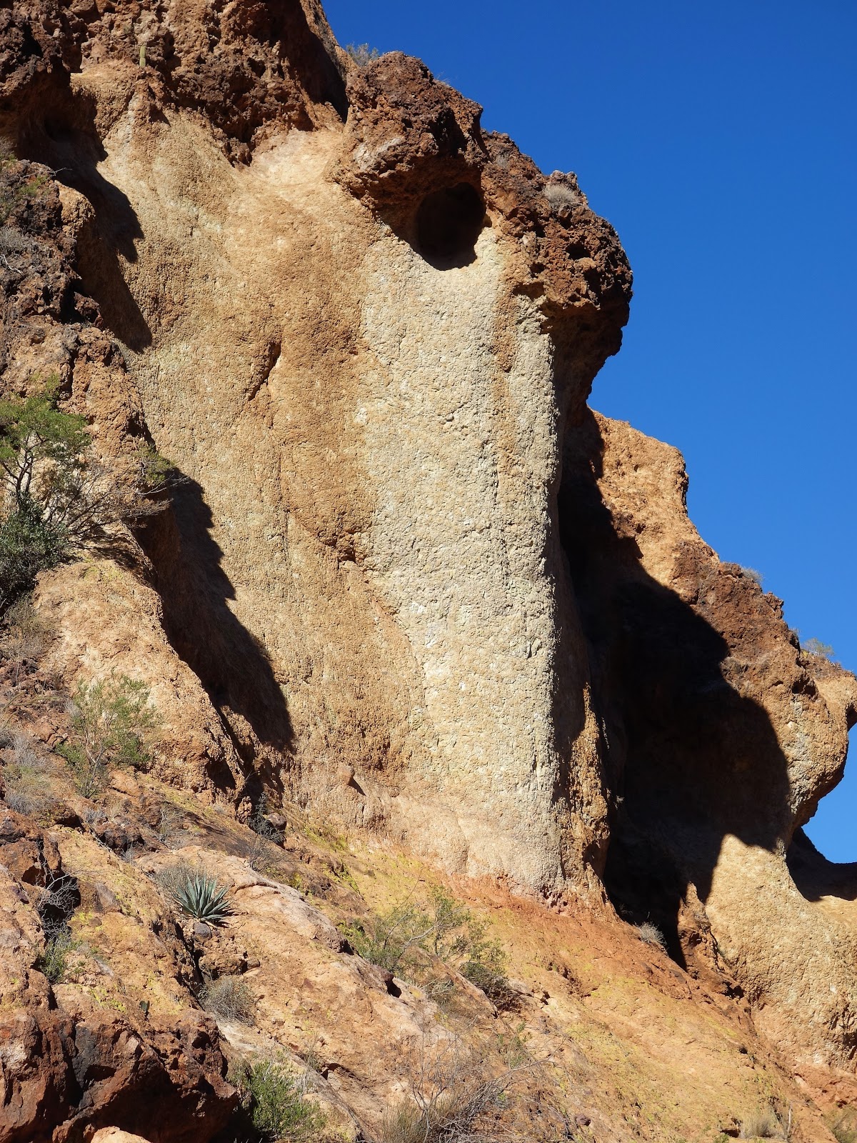 Terry's Trails: 2018