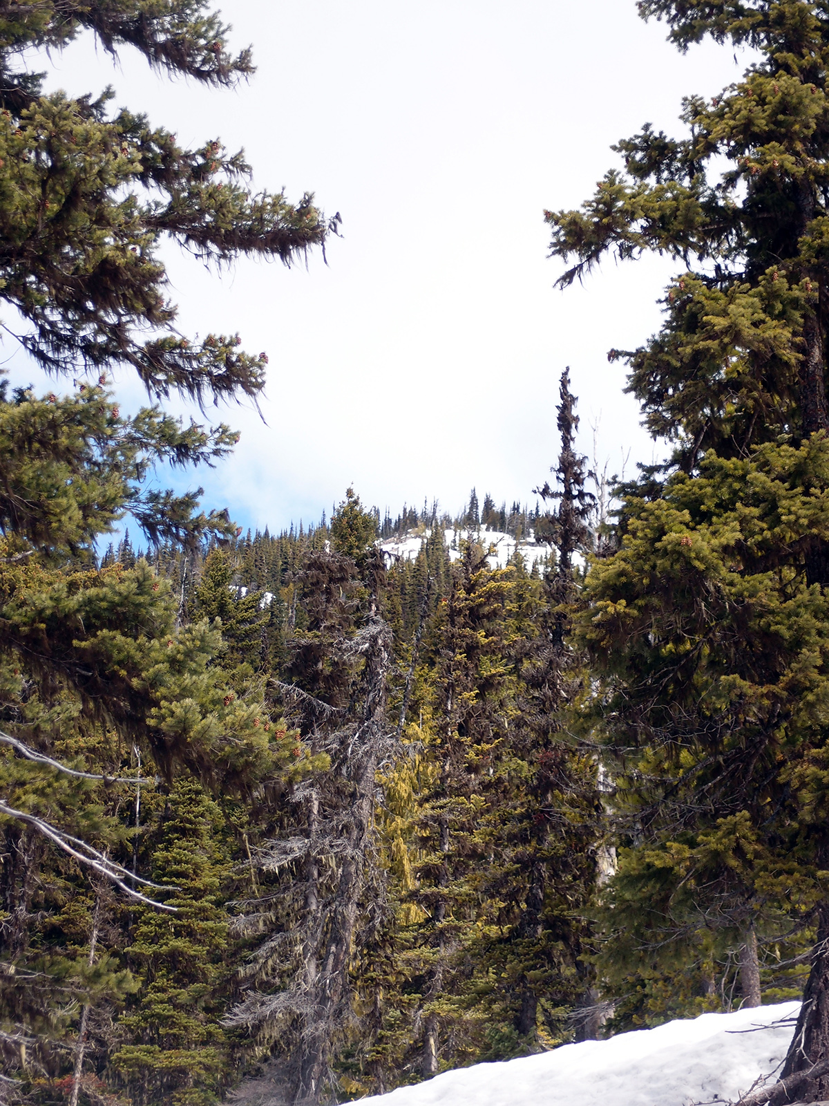 Seeking Ultra: Ruby Mountain attempt, North Cascades