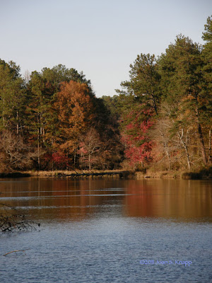 Anybody Seen My Focus?: Charlie Elliott Wildlife Center: Fall Color