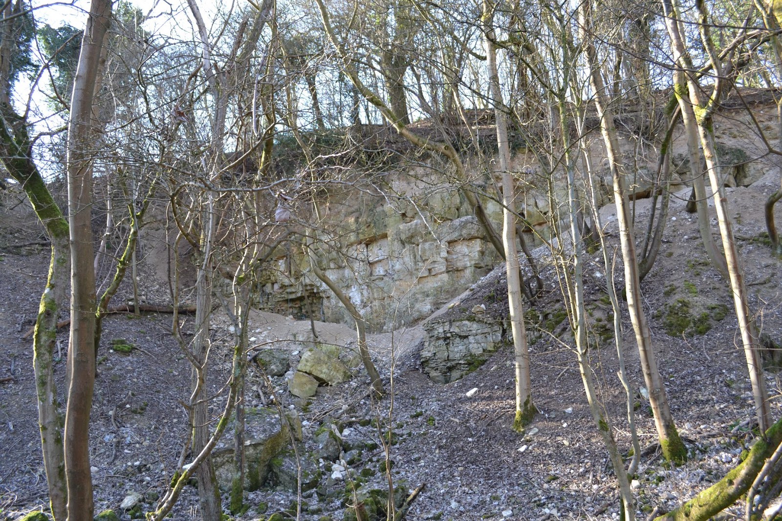 Walks among Flowers: Oxfordshire: Evenlode Valley