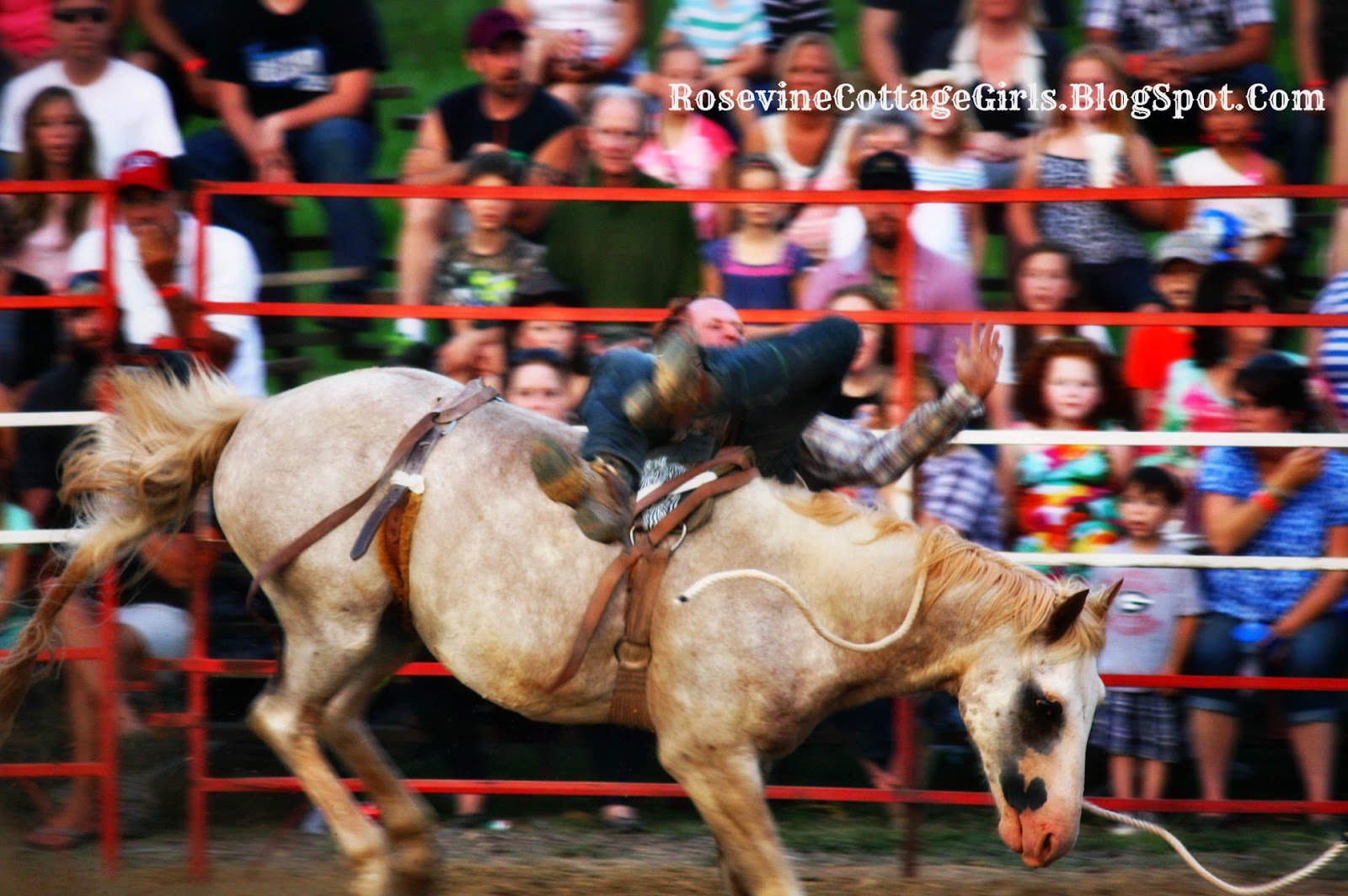Bold Enough Challenge Rodeo
