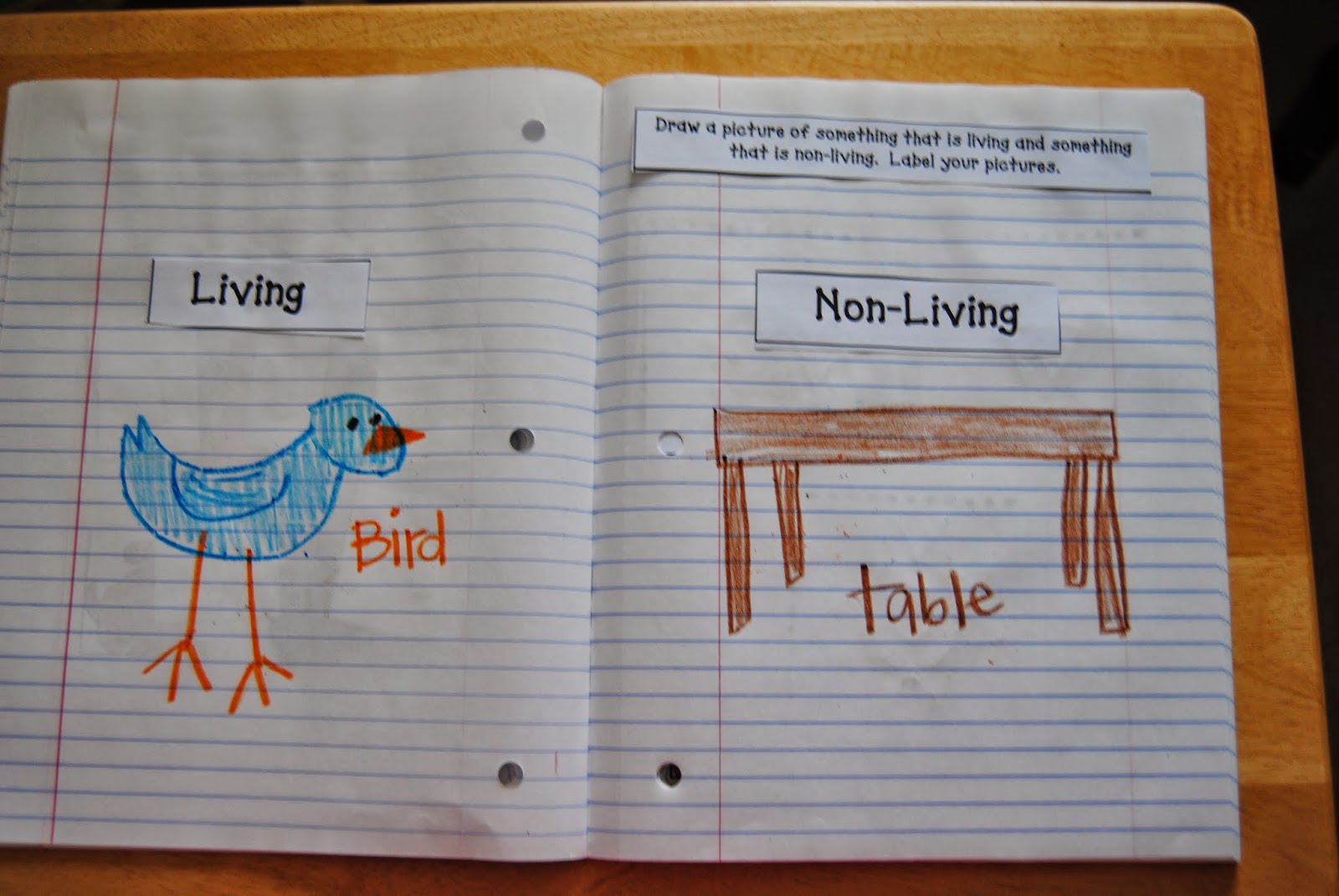 Teaching, Learning, & Loving: Interactive Science Journals