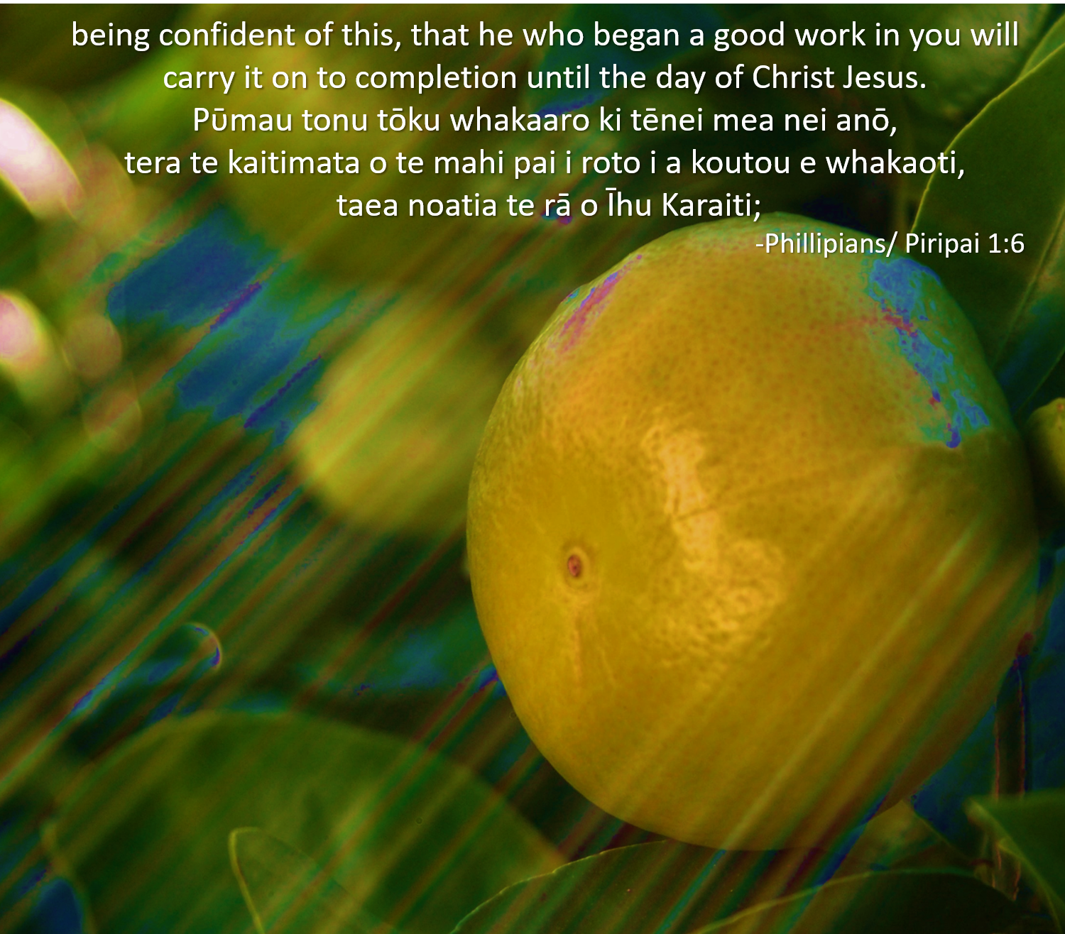 HOW IN THE WORLD!!: With Thanksgiving, Confidence and Prayer: A ...