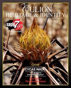 Philippine Native Forest Trees: Save the Culion Pitogo!