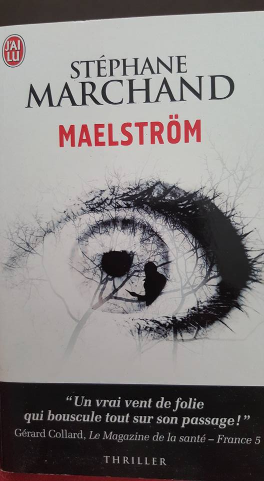 Misery Bay : Maelström de Stéphane Marchand