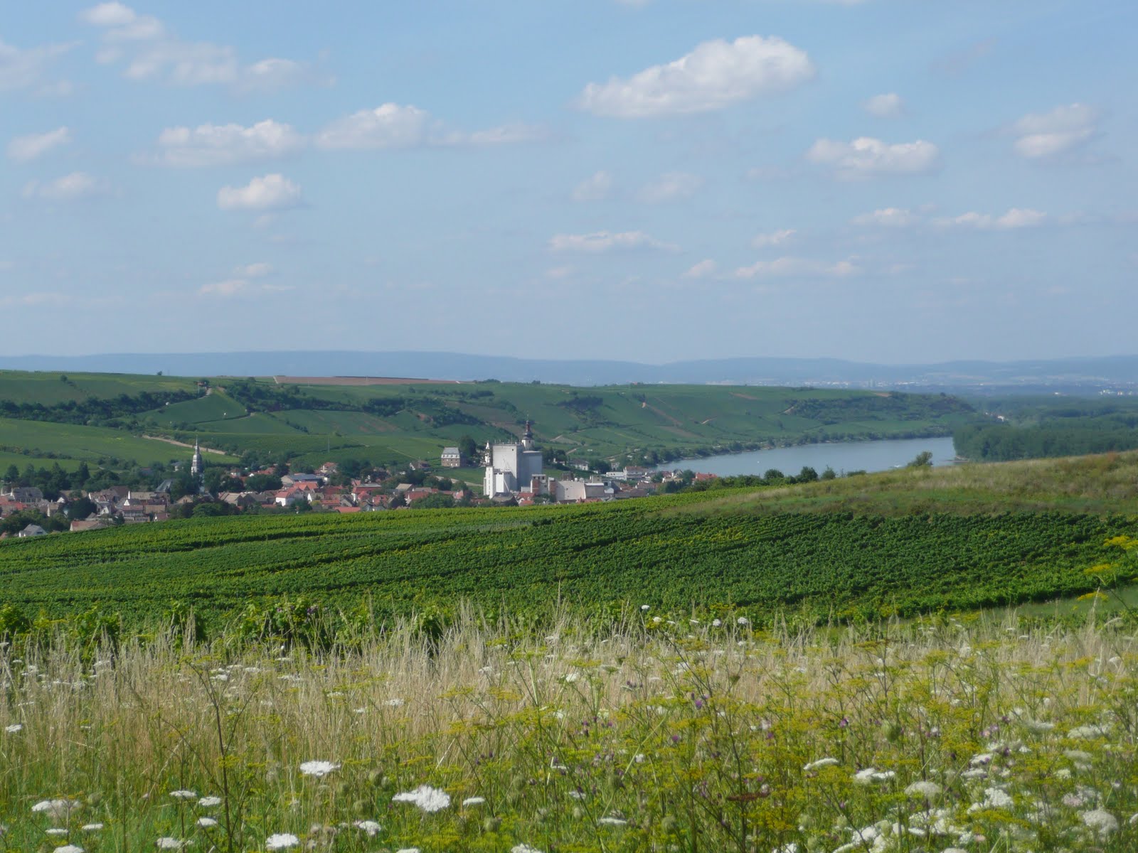 schiller-wine: A New Fixture in the Reemerging Red Slope of Nierstein ...
