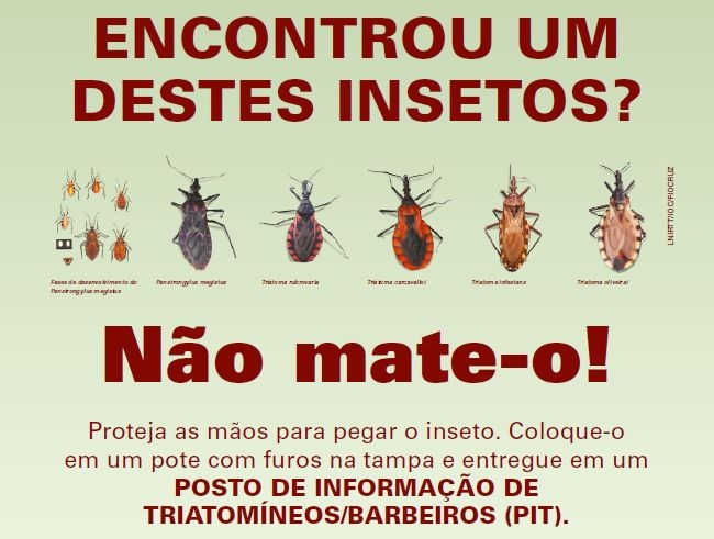Medidas de prevenção e controle | Doença de Chagas . Trypanosoma cruzi