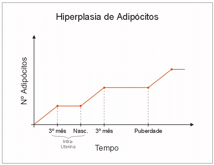 Fisiologia do Exercício ESEF (EFI04105): LIPÓLISE