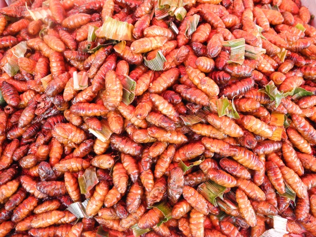 brooklyn lakwachera: Chatuchak Weekend Market