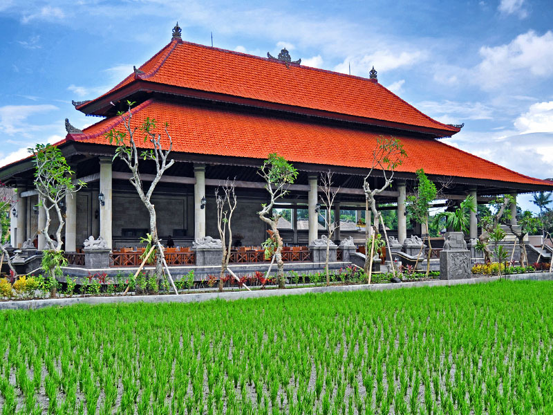 Secretos del Viajar: BEBEK BENGIL, comida entre arrozales en Ubud (Bali)