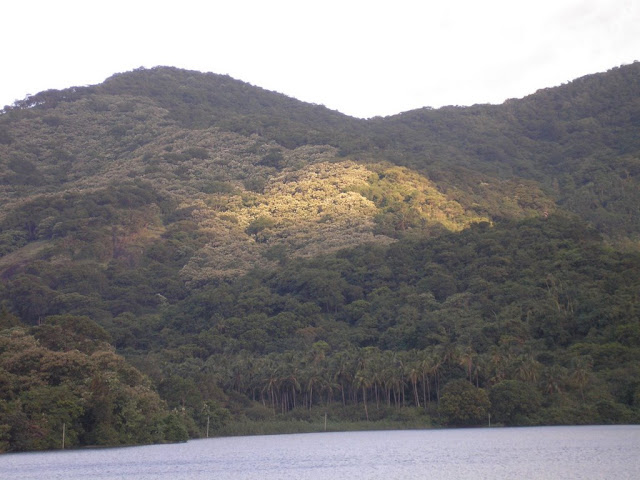 Tamilnadu Tourism: Gundar Dam, Sengottai, Thirunelveli
