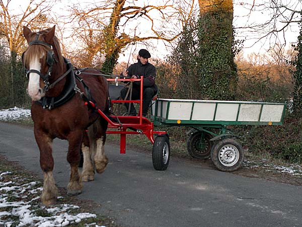 Percheron International: On Nous A Envoyé