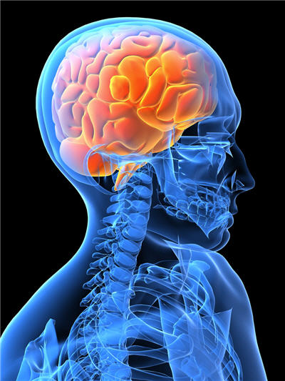Memory Improvement Techniques Memory Improvement Techniques